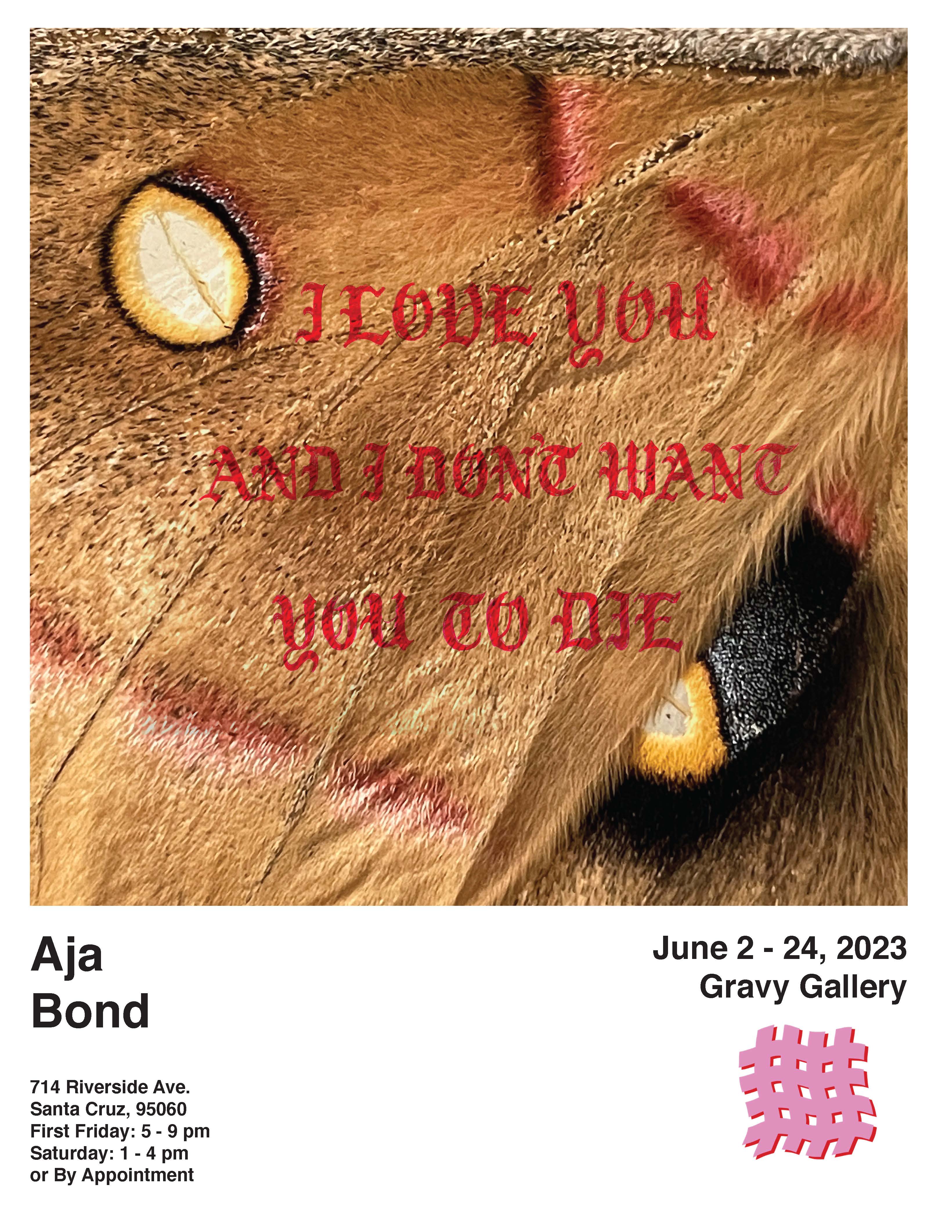 news – Aja Bond